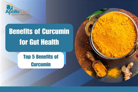 Benefits Of Curcumin For Gut Health Top 5 Benefits Of Curcumin