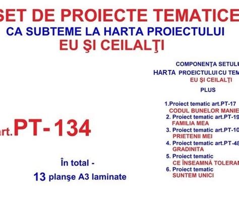 Proiecte Cu Teme Globale Sc Av Diverta