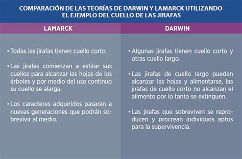 Qué Es La Teoría De Lamarck Y Por Qué Es Importante