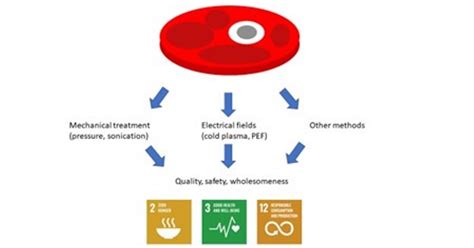 Applied Sciences Special Issues