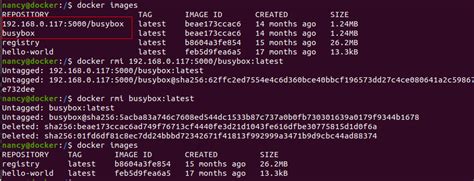 搭建docker本地镜像仓库 机智的老猫咪 博客园