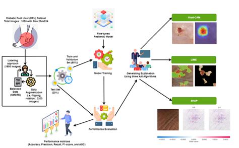 深度学习可解释杀疯了！登上《nature》正刊！屠榜双领域sota！ 知乎