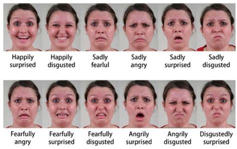 A Convolutional Neural Network For Compound Micro Expression