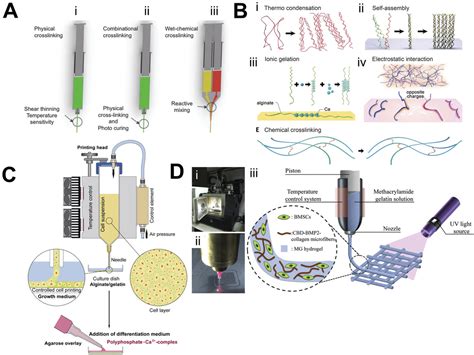 Advancing Frontiers In Bone Bioprinting Ashammakhi 2019 Advanced