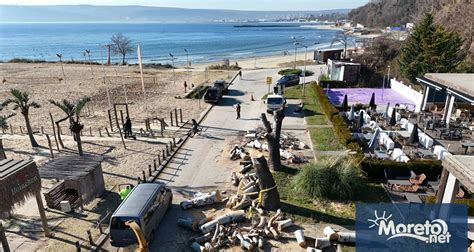 Сеч на дървета по крайбрежната във Варна разгневи варненци снимки и видео Варна