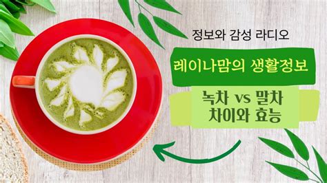 말차 녹차 뭐가달라 효능차이점 🍵더운날씨에도 차를 마셔야하는 이유 레이나맘이 들려주는 생활정보 슬기로운 주부생활 라디오 Youtube