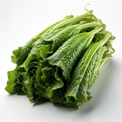 Premium Photo Vegatable