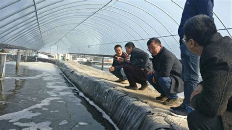 工厂化高位池设计图 20平方水泥池养虾图片 工厂化菇房建造图 大山谷图库