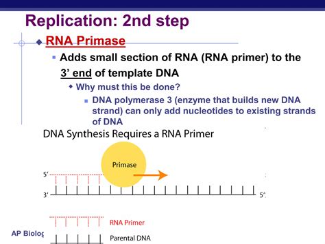 Dna Replication 2014 Pptppt