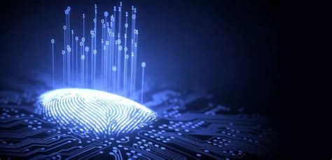 Going Passwordless Exploring Oid4vp Fido2 And The Future Of User Aut