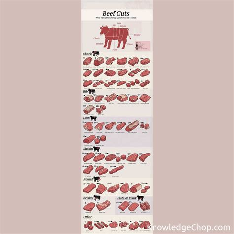 Beef Cuts And Cooking Methods 🥷 Knowledge Ninja