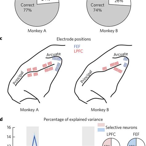 Mixed Selective Responses A An Example Of A Neuron With Nms Is Shown Download Scientific