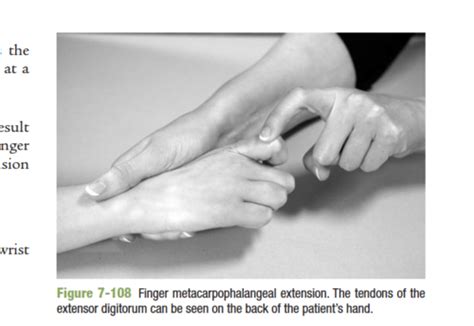 Rom And Mmt Western Ot Flashcards Quizlet