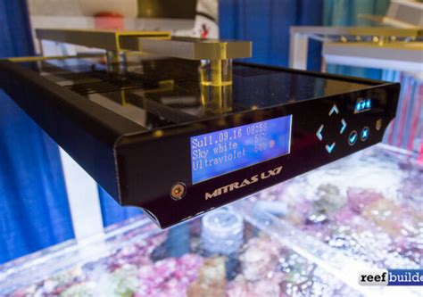 Tag Mitras Reef Builders The Reef And Saltwater Aquarium Blog