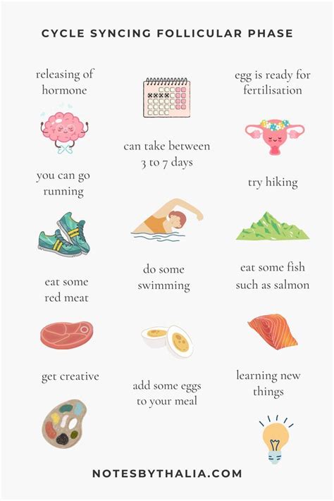 Cycle Syncing Follicular Phase Infographic Artofit