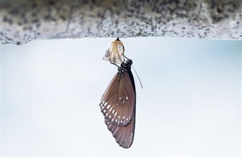 Top Misconceptions About Digital Transformation It Tech Salt Lake City