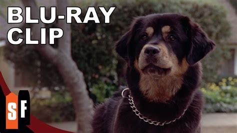 Mans Best Friend 1993 Clip Mailman With A Side Of Pepper Spray