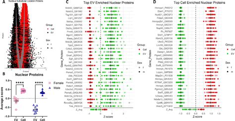 Nucleus Subcellular Located Proteins In Evs And Cells 4a Volcano Plot Download Scientific