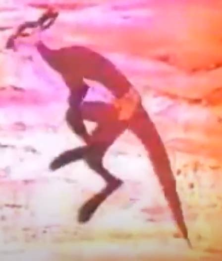 კენგურუ ლომი და კატა The New Parody Wiki Fandom