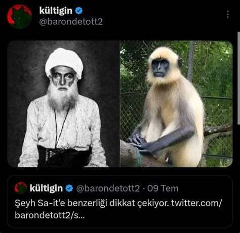 Execution Of Sex Said And Its Relections To Y Chpkk Waff World