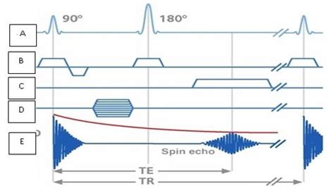 Physics Exam 4 Encoding Flashcards Quizlet
