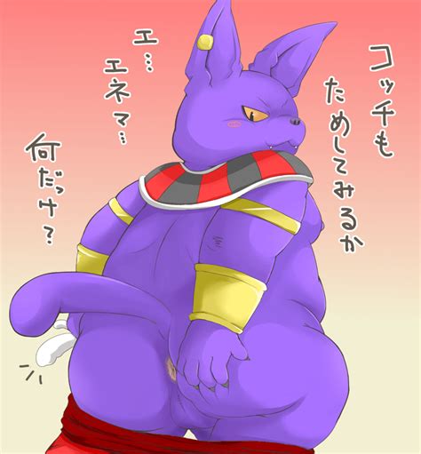 Rule 34 Anthro Anus Ass Big Butt Champa Dragon Ball Dragon Ball Super