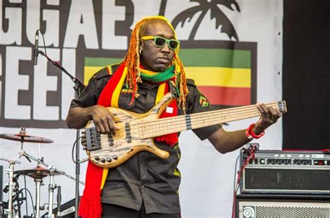 Día Internacional Del Reggae