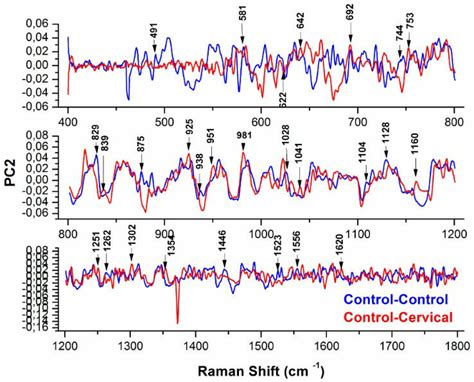 Plots Of The Second Principal Component As A Function Of The Wave