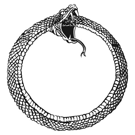 Snake Circle Illustration 27894929 Vector Art At Vecteezy