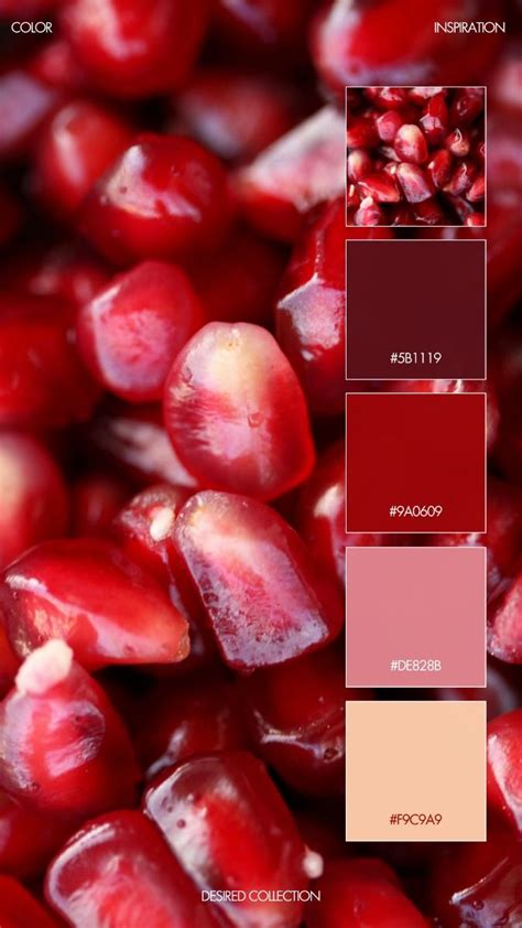 Pomegranate Color Palette Flat Color Palette Color Inspiration