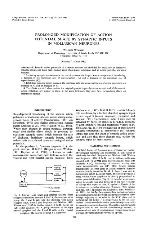 Pdf Prolonged Modification Of Action Potential Shape By Synaptic