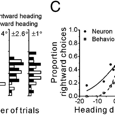 Relationship Between Noise Correlation R Noise And Signal