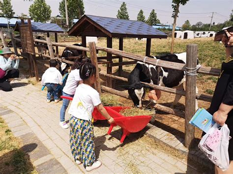 郑州西边首家以奶牛为主的亲子科普乐园来啦 距市区开车约1小时 养殖 TA位于荥阳市占地面积100余亩是郑州西边首家以奶牛为主的亲子科普