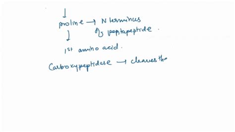 Wharsthe Sequence Conside The Following Results Octapeptide
