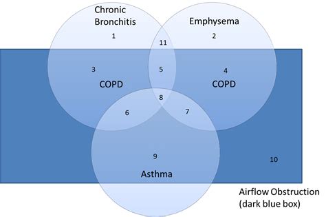 Asthma And COPD Overlapping Disorders Or Distinct Processes IntechOpen