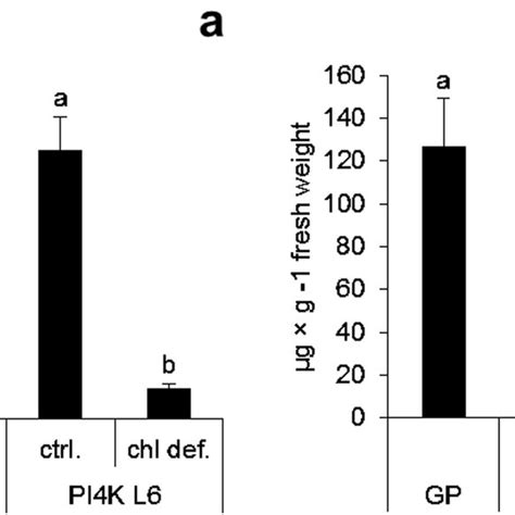 Soybean Root System Architecture Schematic Representation Of The Download Scientific Diagram