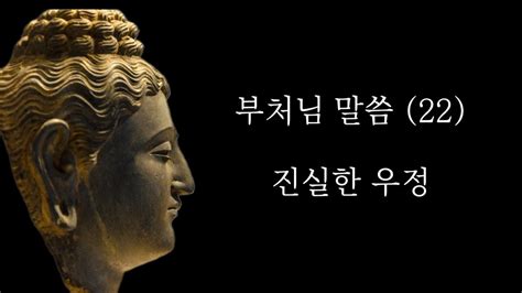 진실한 우정 명언 깨달음 인생 Youtube