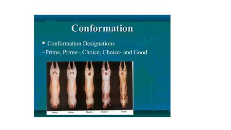 Grading Judging And Fabrication Of Meat Carcass Pptx Agriculture