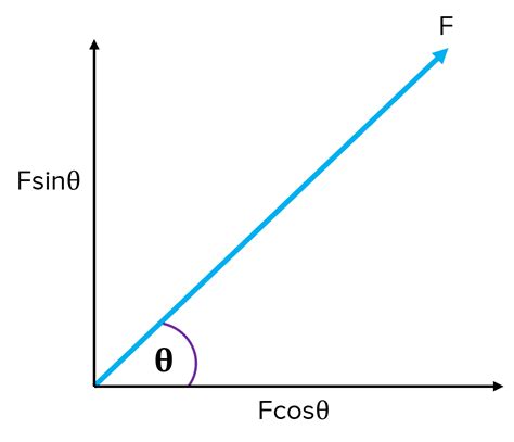 scalars and vectors questions and revision mme