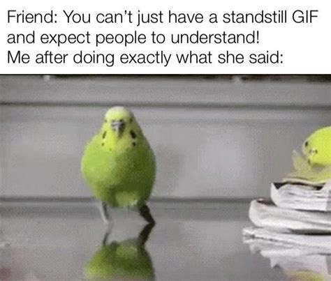 Mad Cackling Scrolller