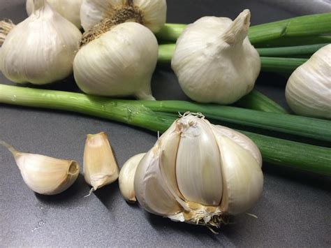 Premium Photo Close Up Of Scallions And Garlic On Table