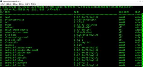 银河麒麟操作系统查看系统已安装软件包状态的经验分享 银河麒麟安装的软件在哪里 csdn博客