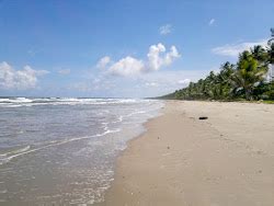 Manzanilla Beach 🏖️ Plum Trinidad Island Trinidad And Tobago