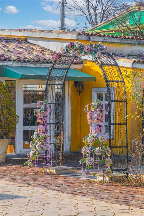 파주의 가을과 겨울 코스코스 And 프로방스 마을 두피디아 여행기