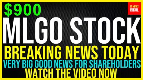 Mlgo Stock Microalgo Inc Stock Breaking News Today Mlgo Stock Price Prediction Mlgo Stock
