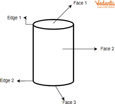 Cylinder Definition And Diagram At JENENGE Blog