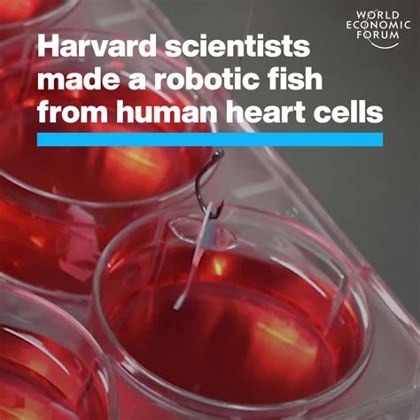 Deepak Seth On Linkedin Robotics Innovation Heartdisease Heartsurgery Bioengineering Harvard…