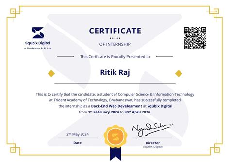 Internship Squbix Professionalgrowth Techskills Teamwork Problemsolving Ritik Raj