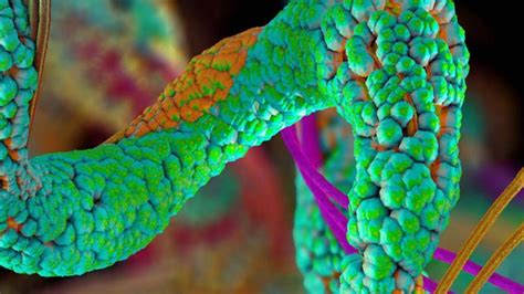 Mass Spectrometry Product News Articles Page 2 Technology Networks