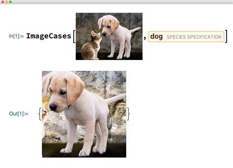 wolfram u classes and courses